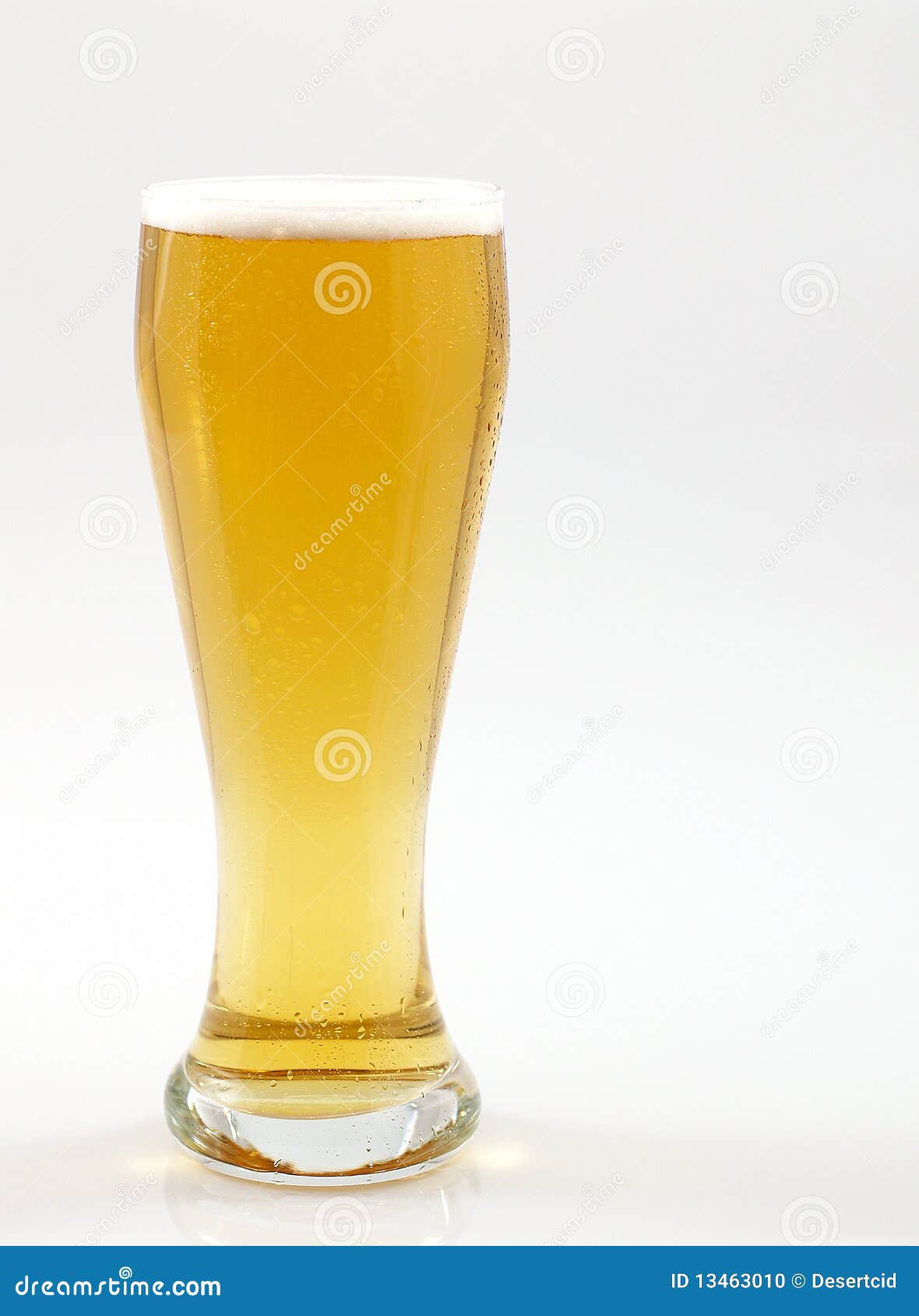 Beer glass stock photo. Image of frosty, single, glass - 13463010