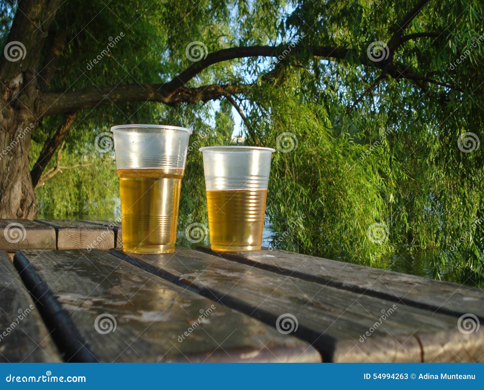 Beer Glasses on Wooden Table Under Willow Tree Stock Image - Image of ...