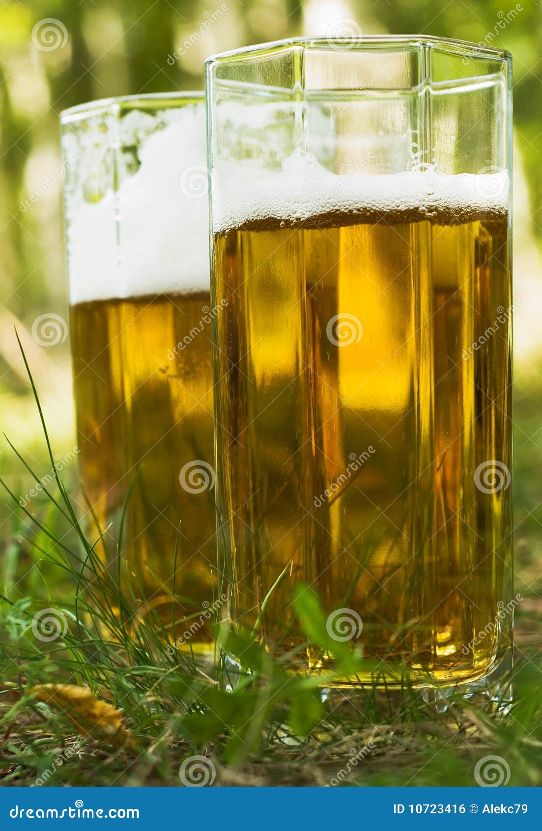 Beer in the grass stock photo. Image of foam, glass, relax - 10723416