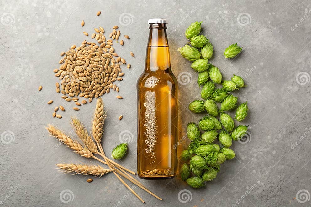 Beer, Green Hops and Malt on Stone Surface. Top View Stock Image ...