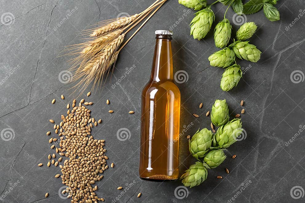 Beer, Green Hops and Malt on Stone Surface. Top View Stock Image ...