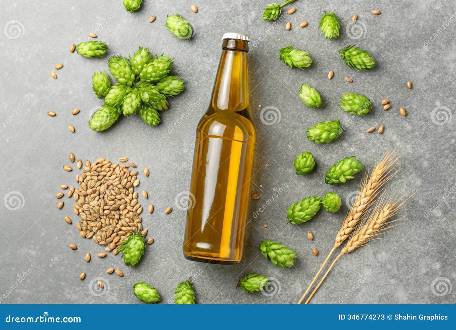 Beer, Green Hops and Malt on Stone Surface. Top View Stock Image ...