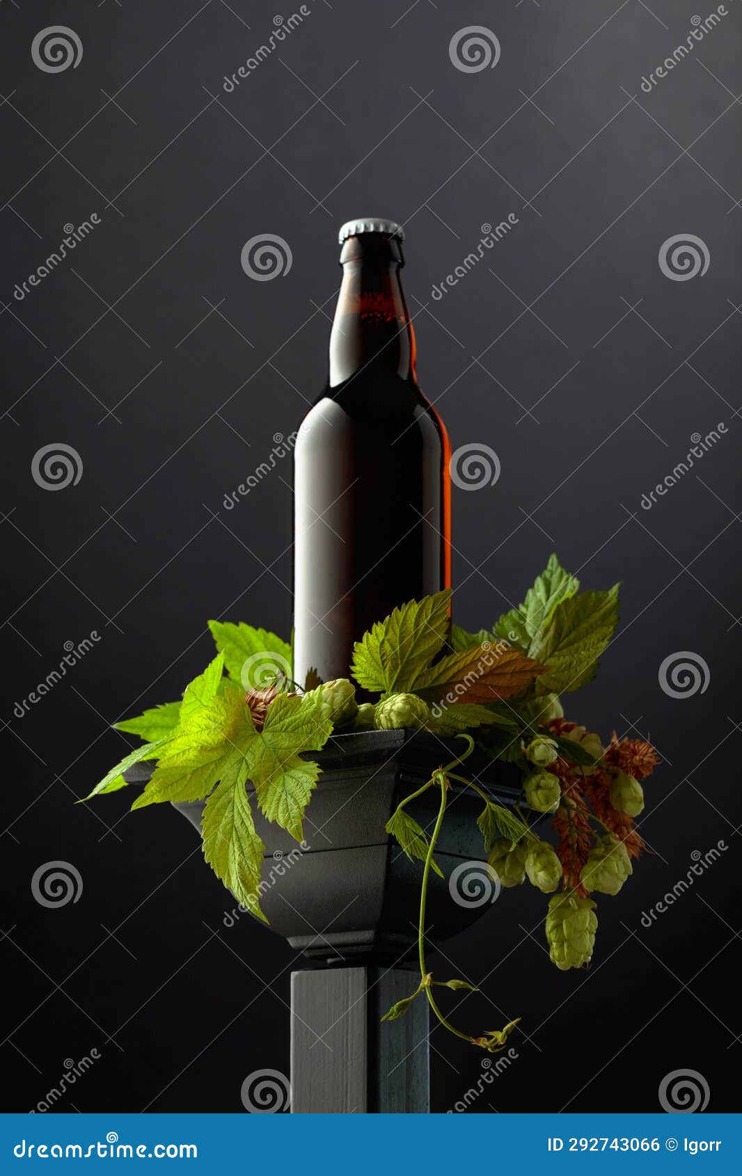 Beer with Green Hops and Wheat Ears on a Black Podium Stock Photo ...