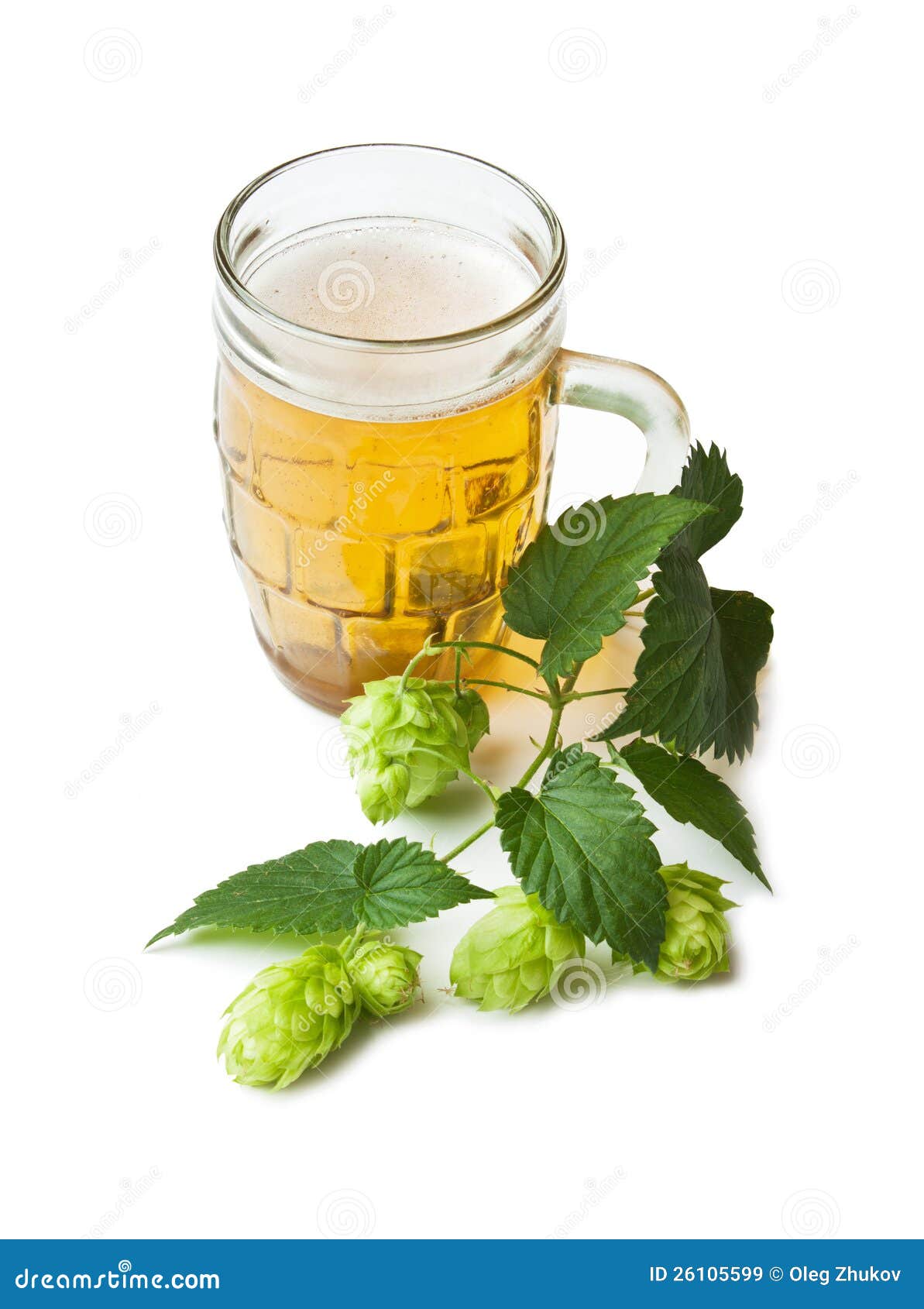 Beer and hop stock image. Image of gourmet, growth, flower - 26105599