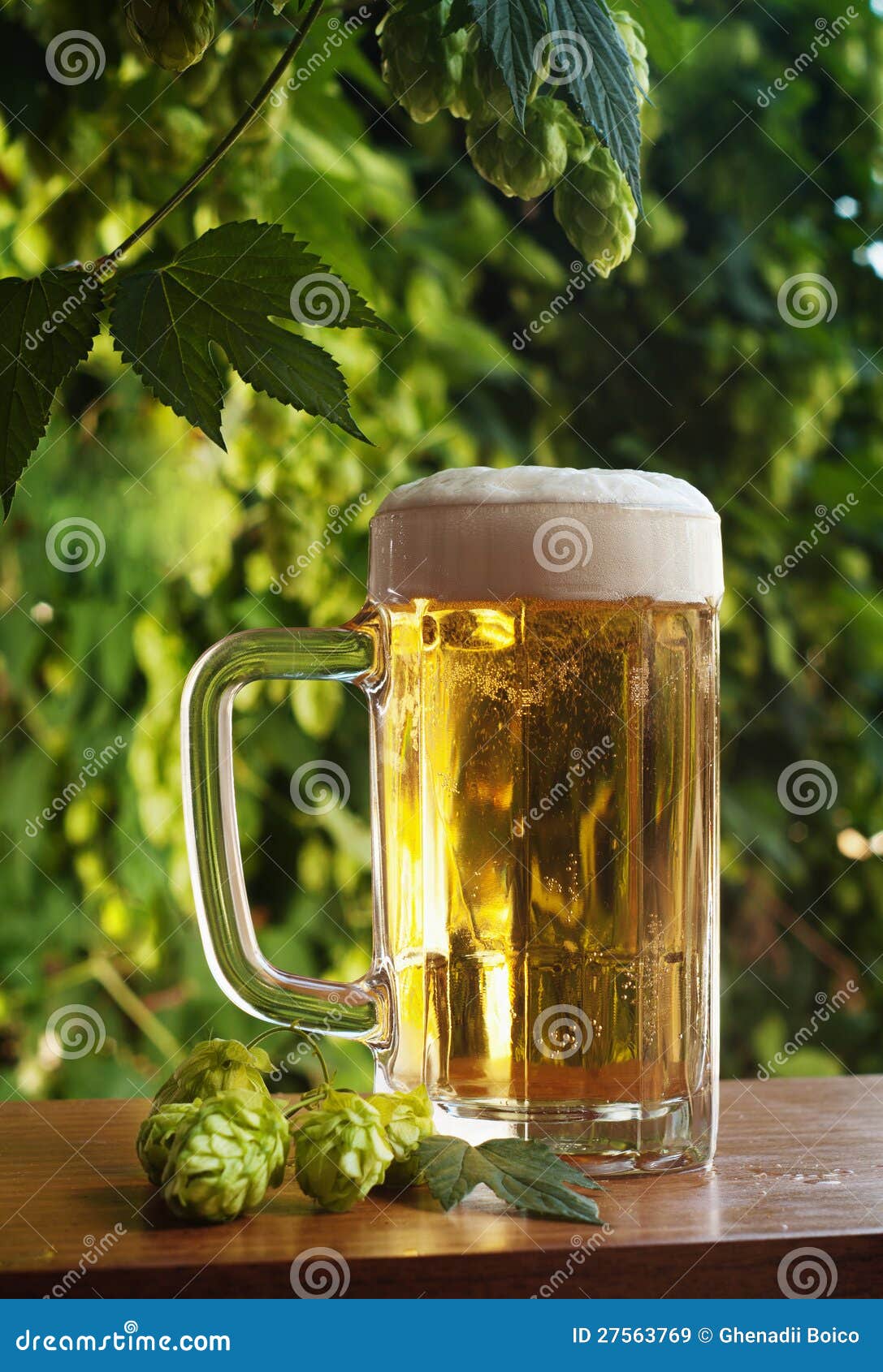 Beer and hop stock image. Image of drink, herb, malt - 27563769