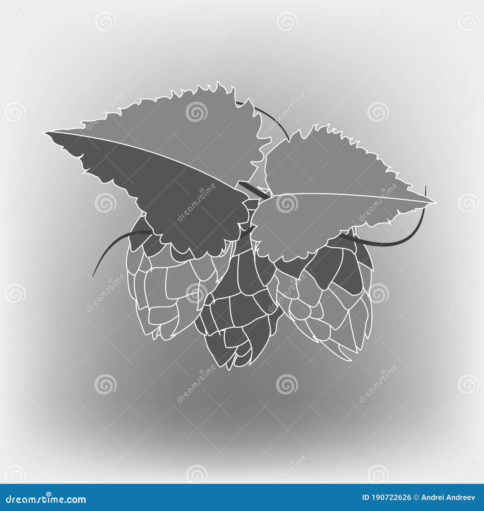 Beer Hop Illustration. Engraved Style Illustration Stock Illustration ...