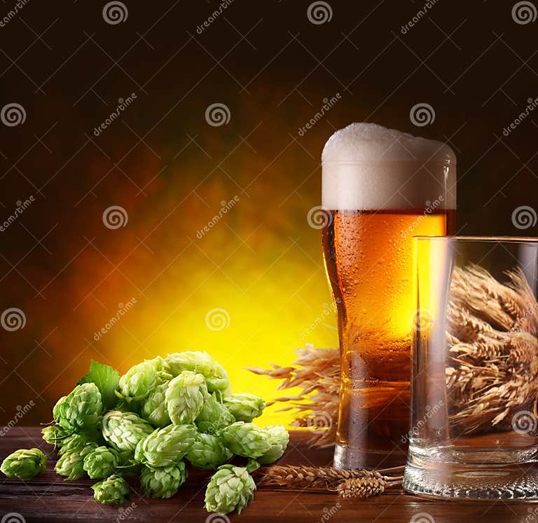 Beer and hops. stock photo. Image of golden, cold, beer - 25155346