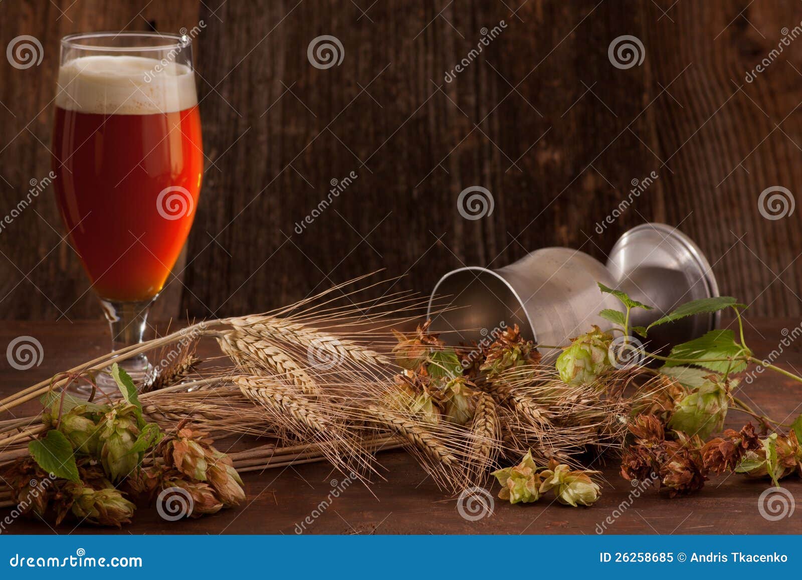 Beer with hops and barley stock image. Image of indoors - 26258685