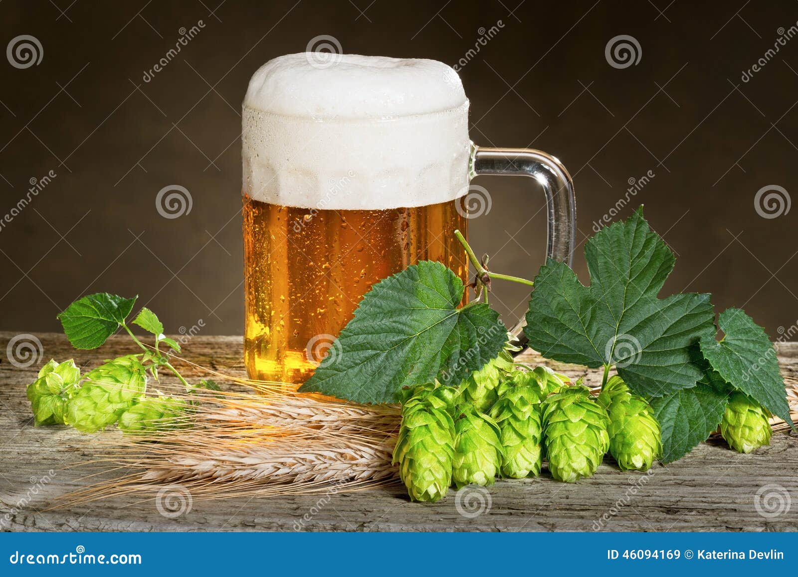 Beer and hops stock image. Image of detail, lager, herb - 46094169