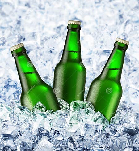 Beer is in ice stock image. Image of profitable, bottle - 7351431