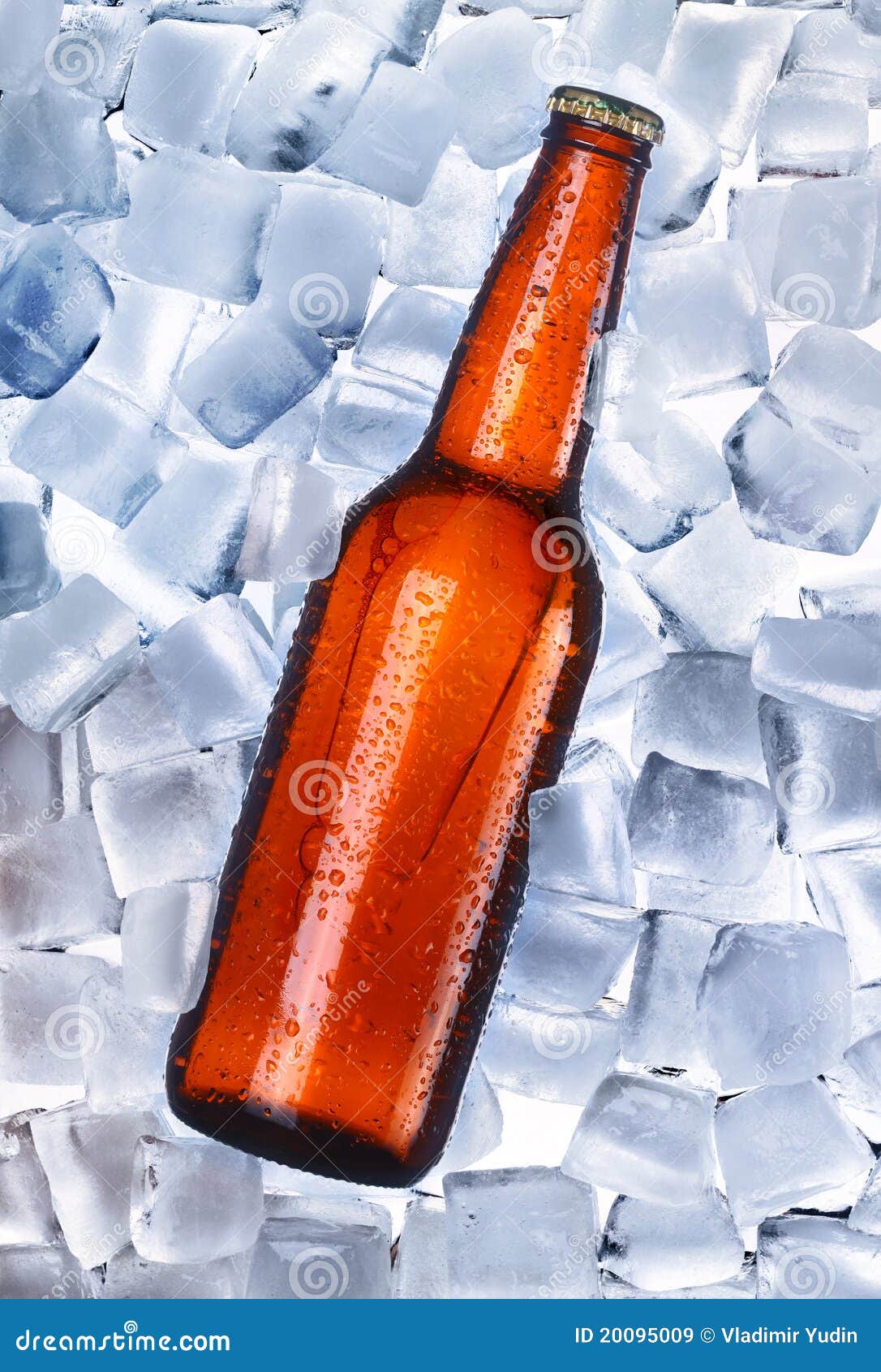 Beer and ice around stock image. Image of cold, full - 20095009