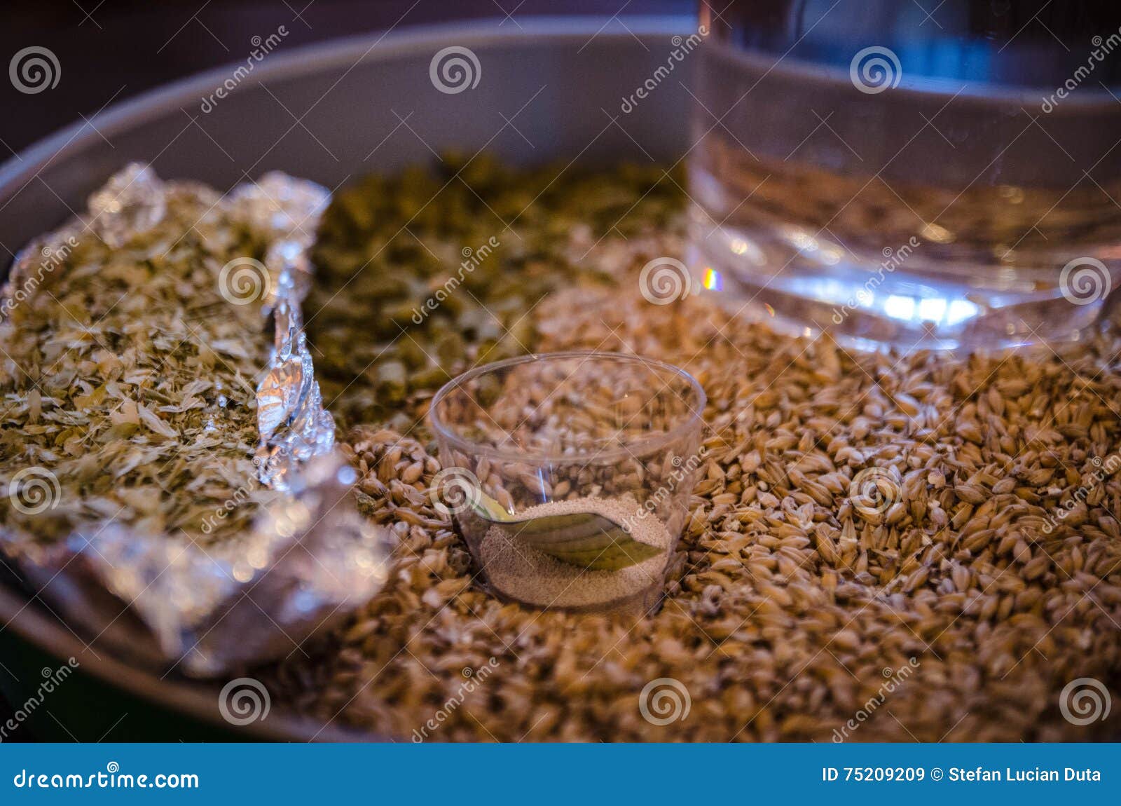 Beer ingredients stock image. Image of corn, barley, malt - 75209209
