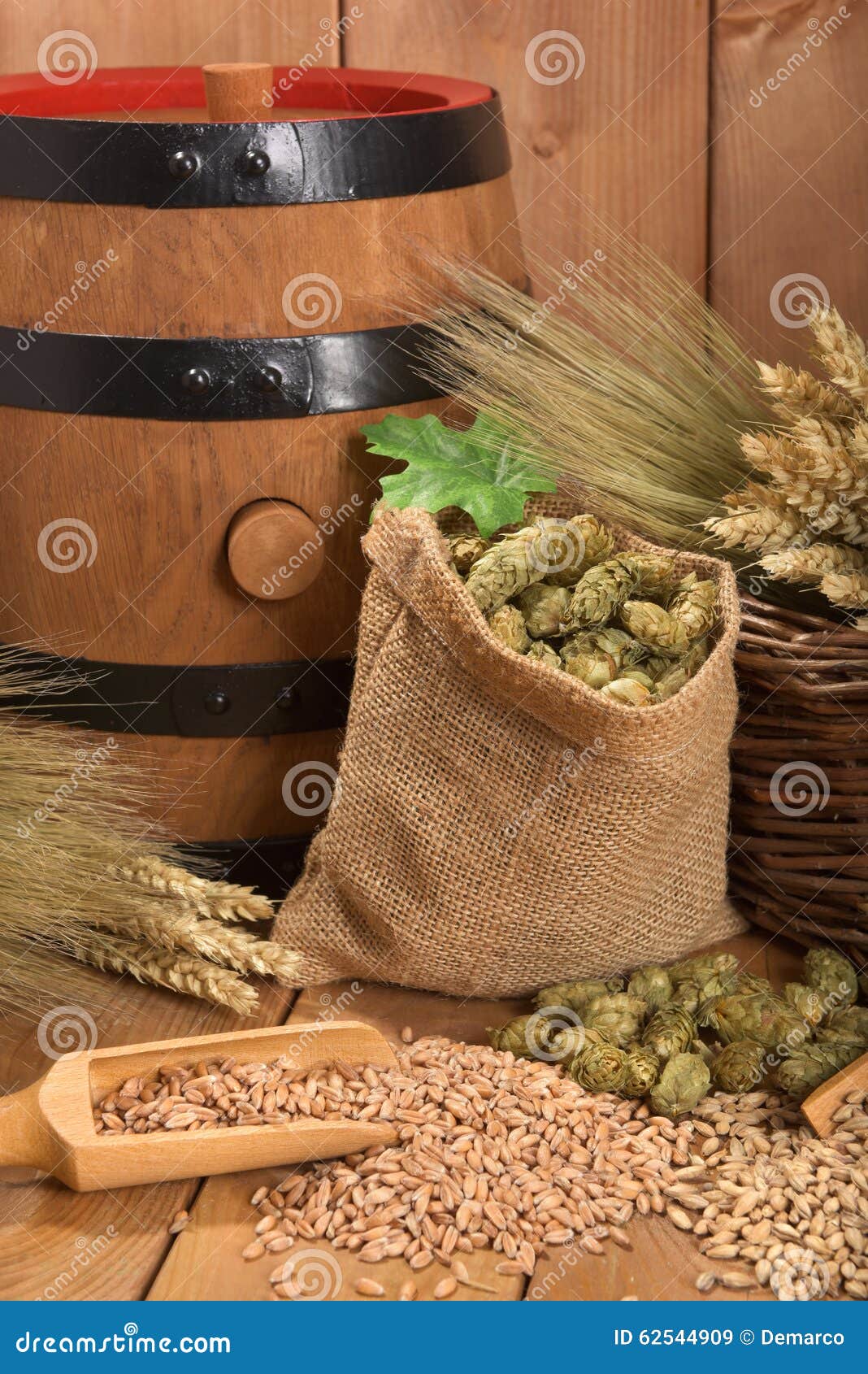 Beer ingredients stock image. Image of alcohol, brewed - 62544909