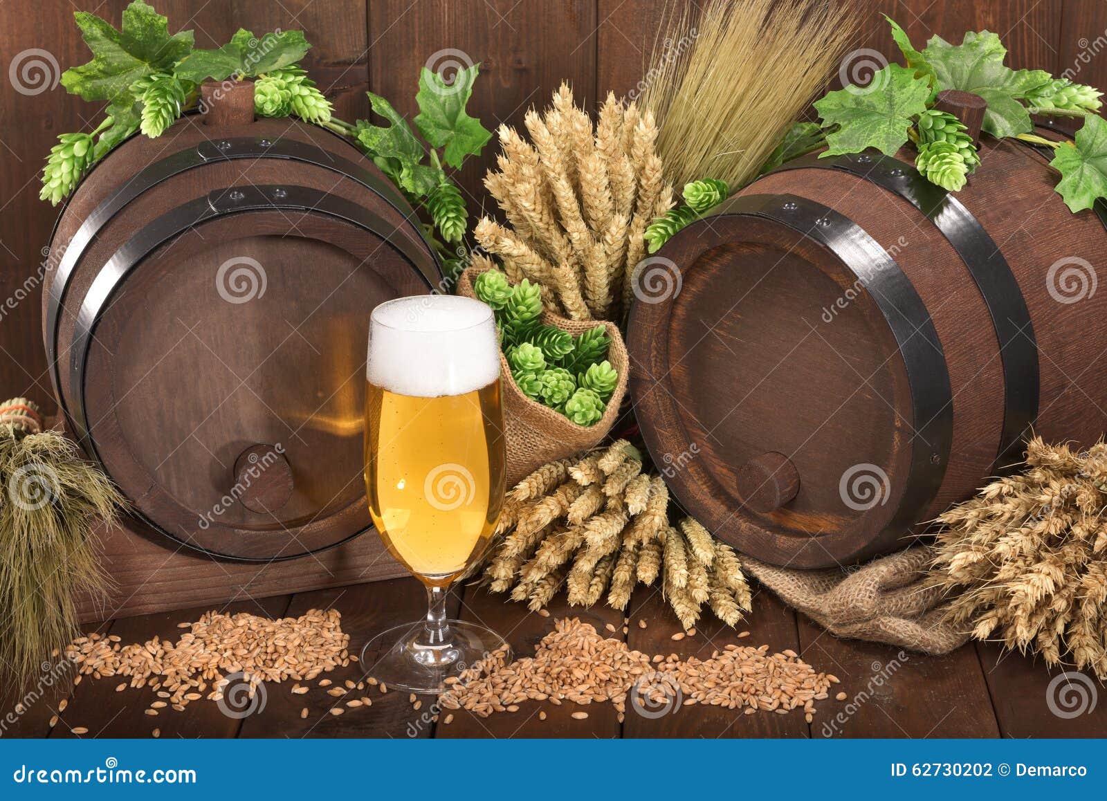 Beer ingredients stock photo. Image of oktoberfest, malt - 62730202