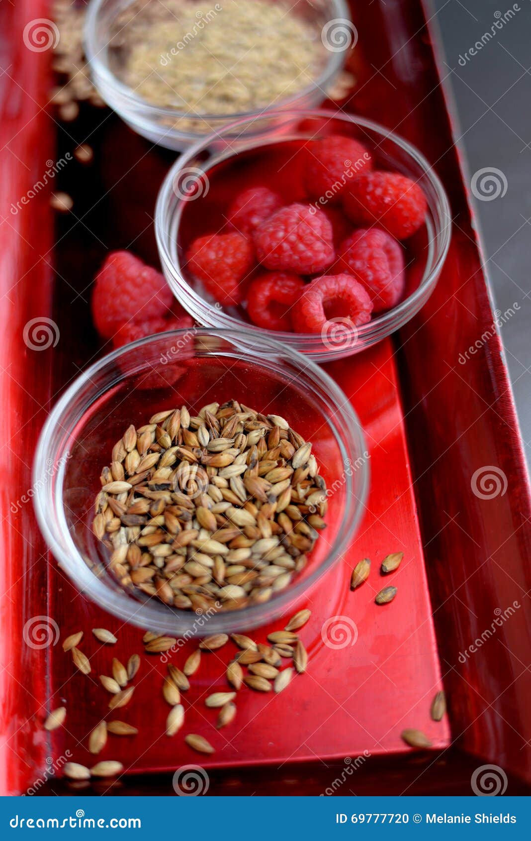 Beer Ingredients on Red Tray Stock Photo - Image of artistic, alcohol ...