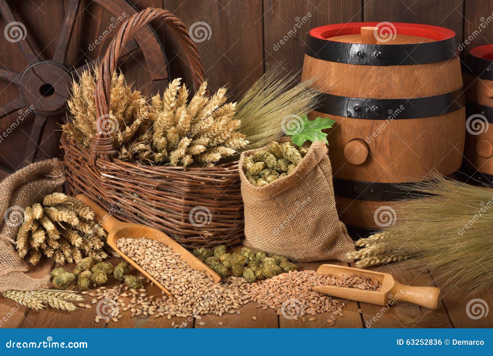 Beer ingredients stock photo. Image of garden, alcohol - 63252836