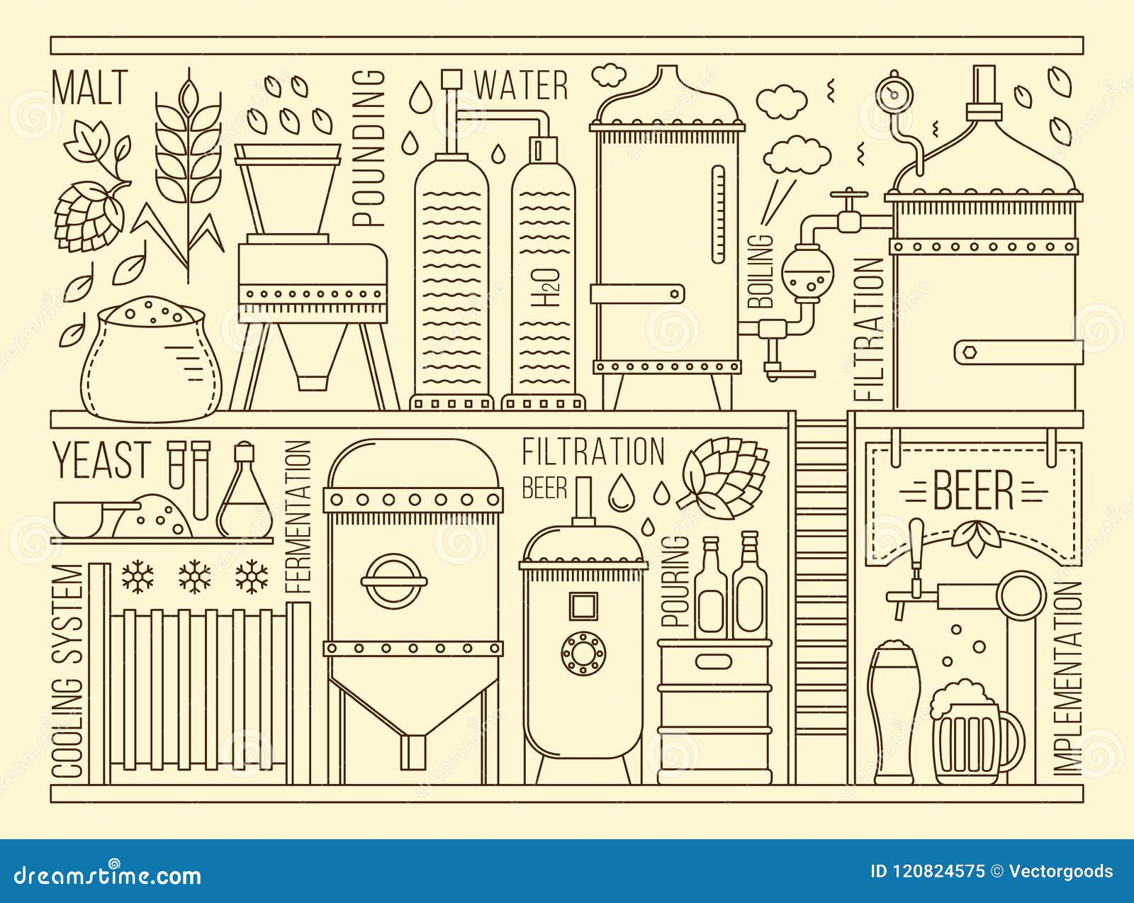 Beer Production With Cereal Grain Harvesting, Fermenting And Bottling ...