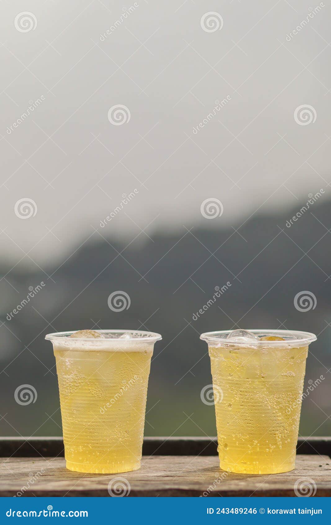 Beer Served in Plastic Cups is a Popular Winter Draft Beer at Festivals ...