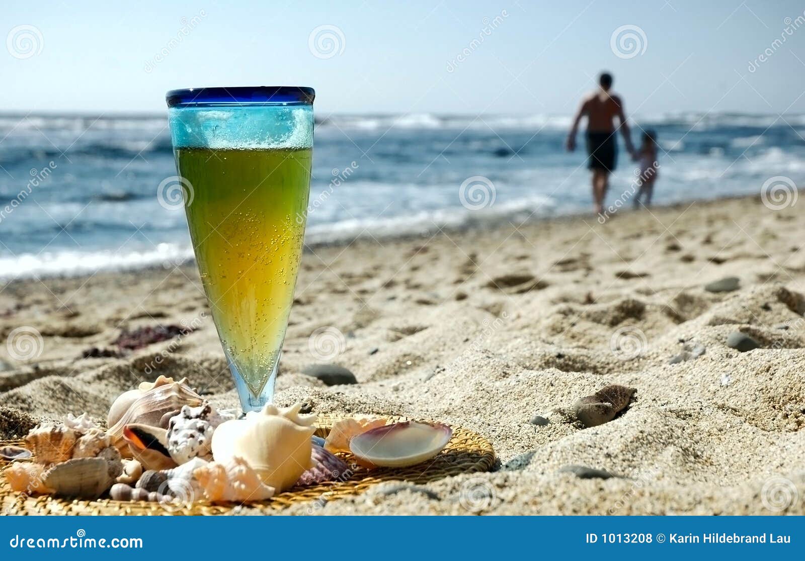 Beer Shells Beach Stock Photos - Free & Royalty-Free Stock Photos from ...
