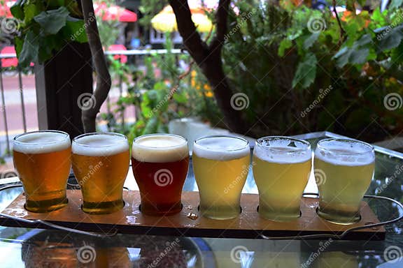 Beer Testing stock photo. Image of alcohol, tasting - 148053302