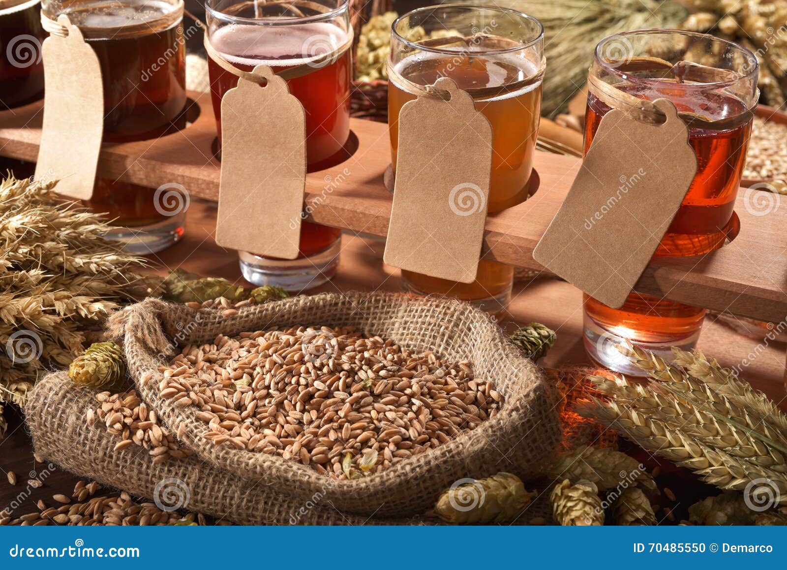 Beer testing stock photo. Image of froth, taste, testing - 70485550