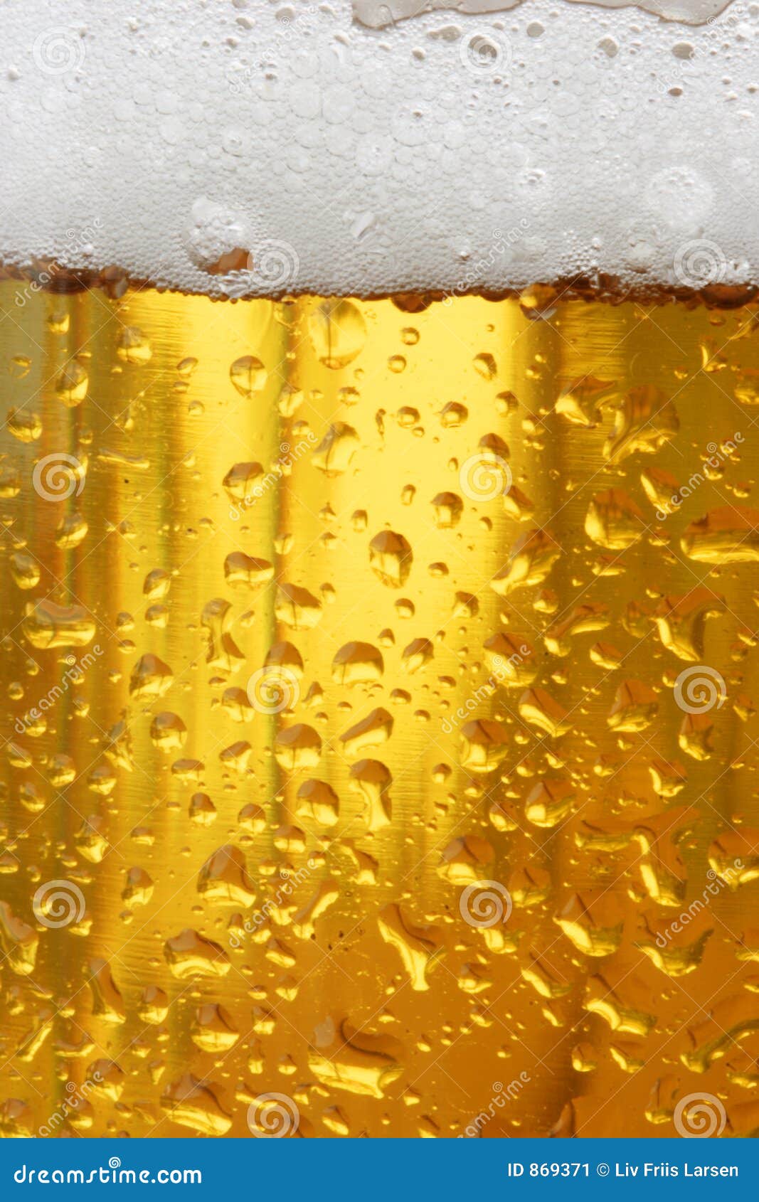 Beer Texture Stock Image - Image: 869371