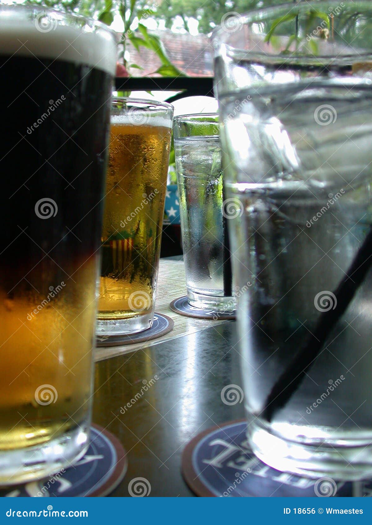 Beer and Water stock photo. Image of plant, water, beer - 18656