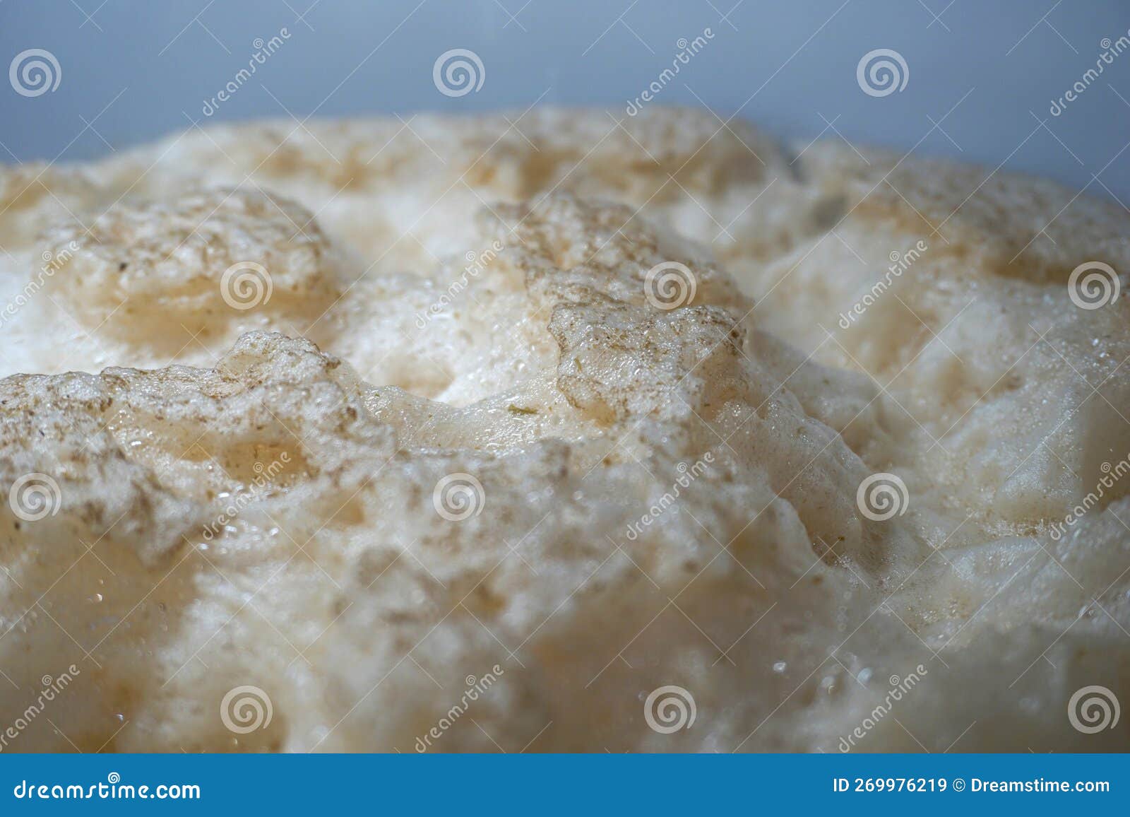 Beer Yeast Foam - Alcohol Fermentation Process Stock Image - Image of ...