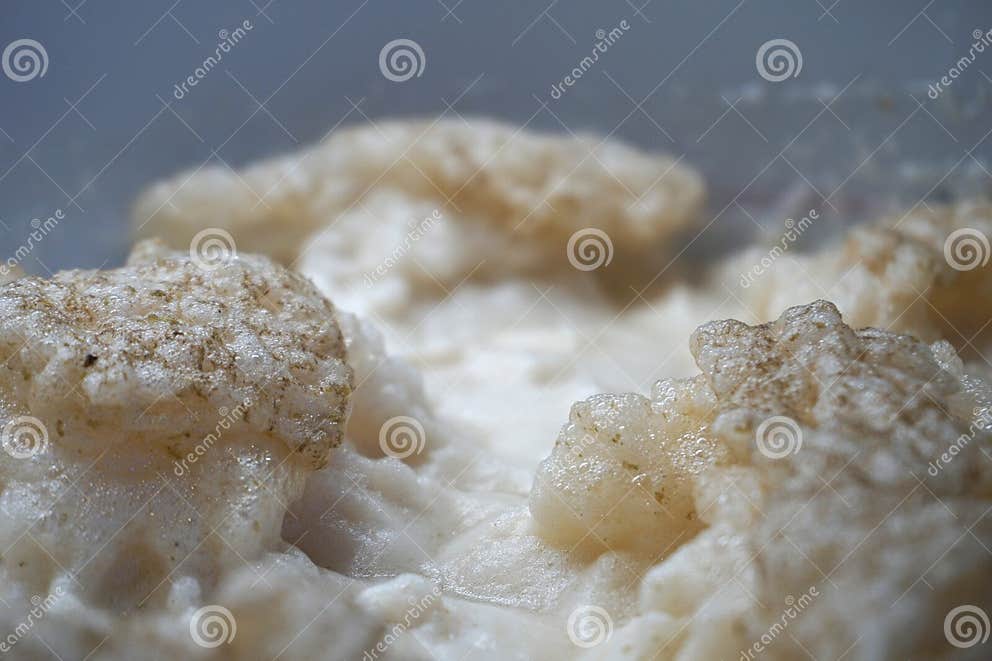 Beer Yeast Foam - Alcohol Fermentation Process Stock Photo - Image of ...