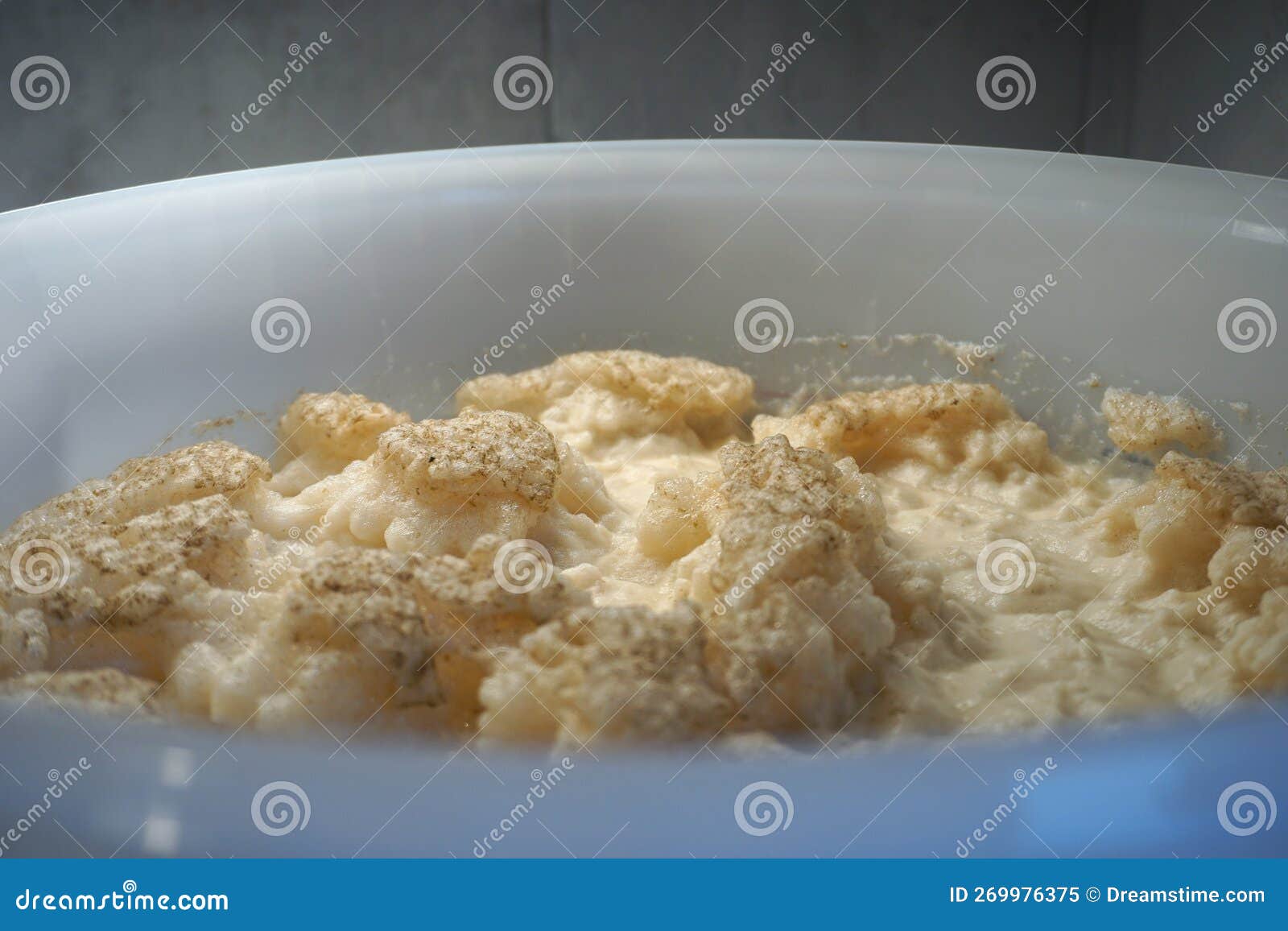 Beer Yeast Foam in Fermenter - Alcohol Fermentation Process Stock Image ...