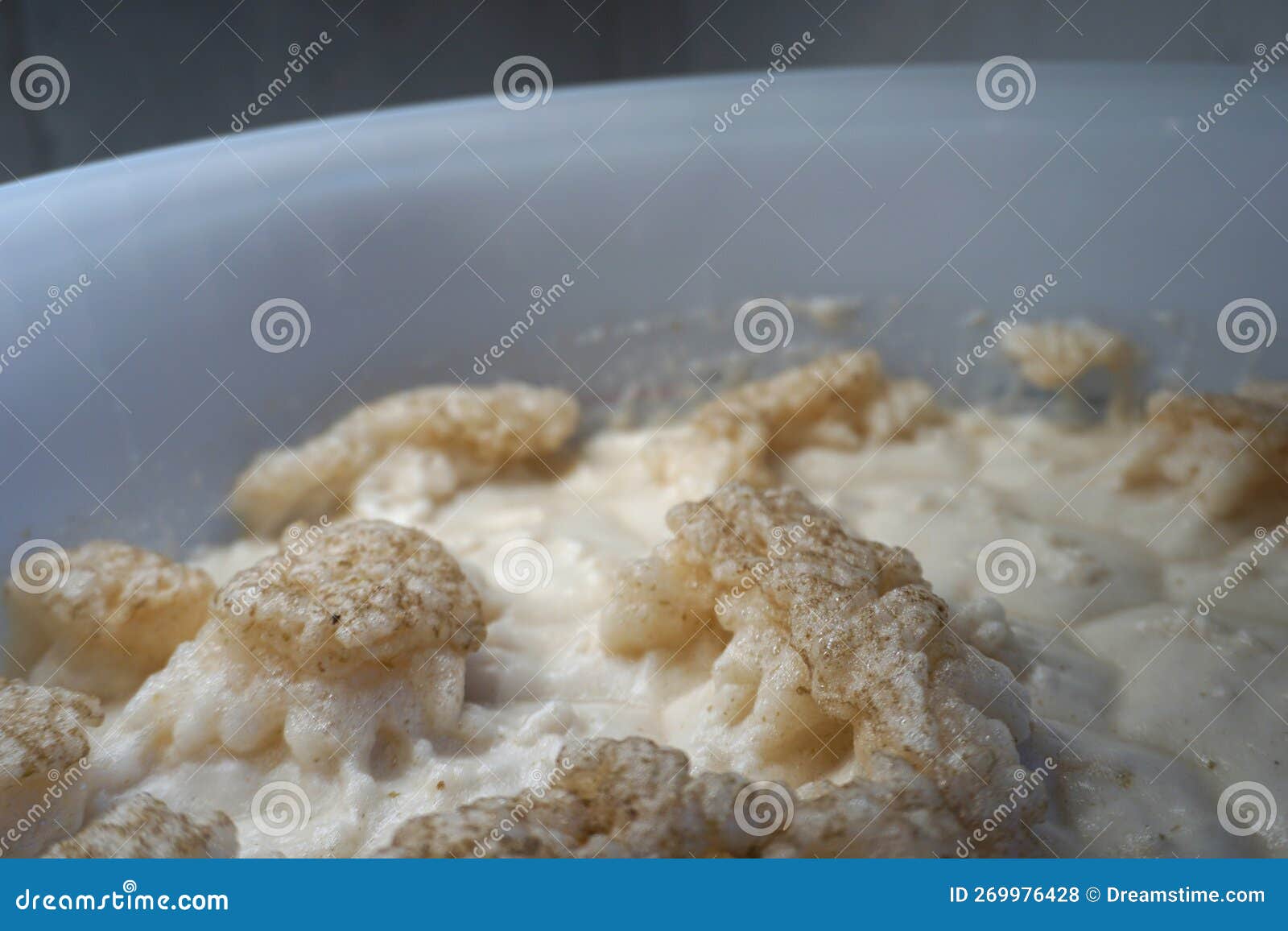 Beer Yeast Foam in Fermenter - Alcohol Fermentation Process Stock Photo ...