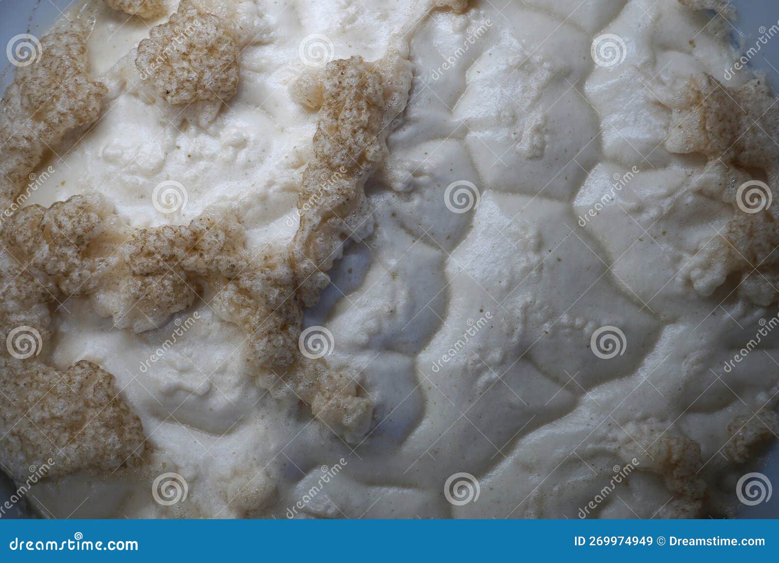 Beer Yeast Foam in Fermenter - Alcohol Fermentation Process Stock Image ...