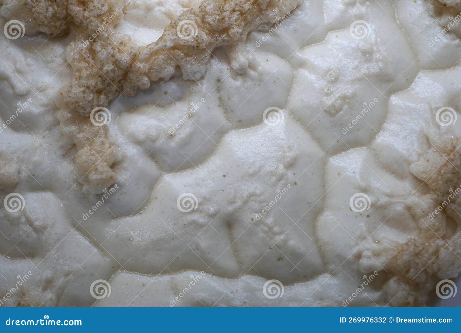 Beer Yeast Foam - Top View - Alcohol Fermentation Process Stock Photo ...
