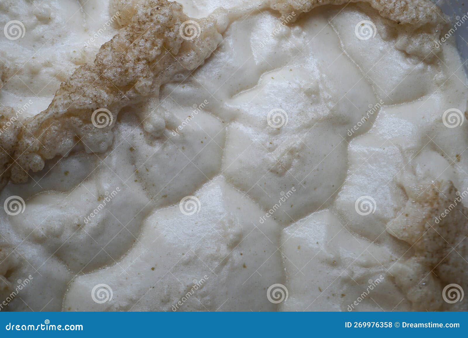 Beer Yeast Foam - Top View - Alcohol Fermentation Process Stock Photo ...