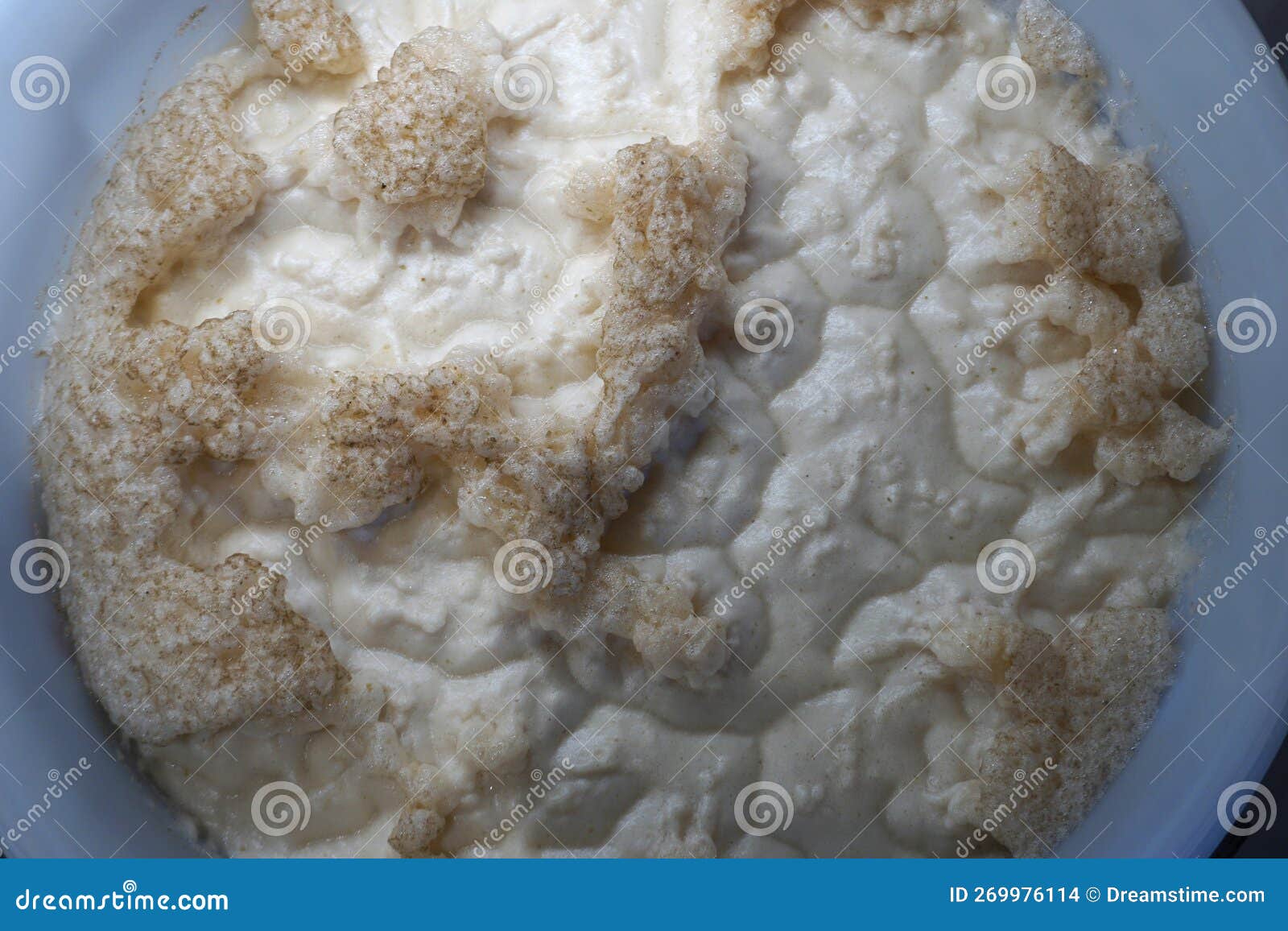 Beer Yeast in Round Plastic Fermenter - Home Brewing Concept Stock ...