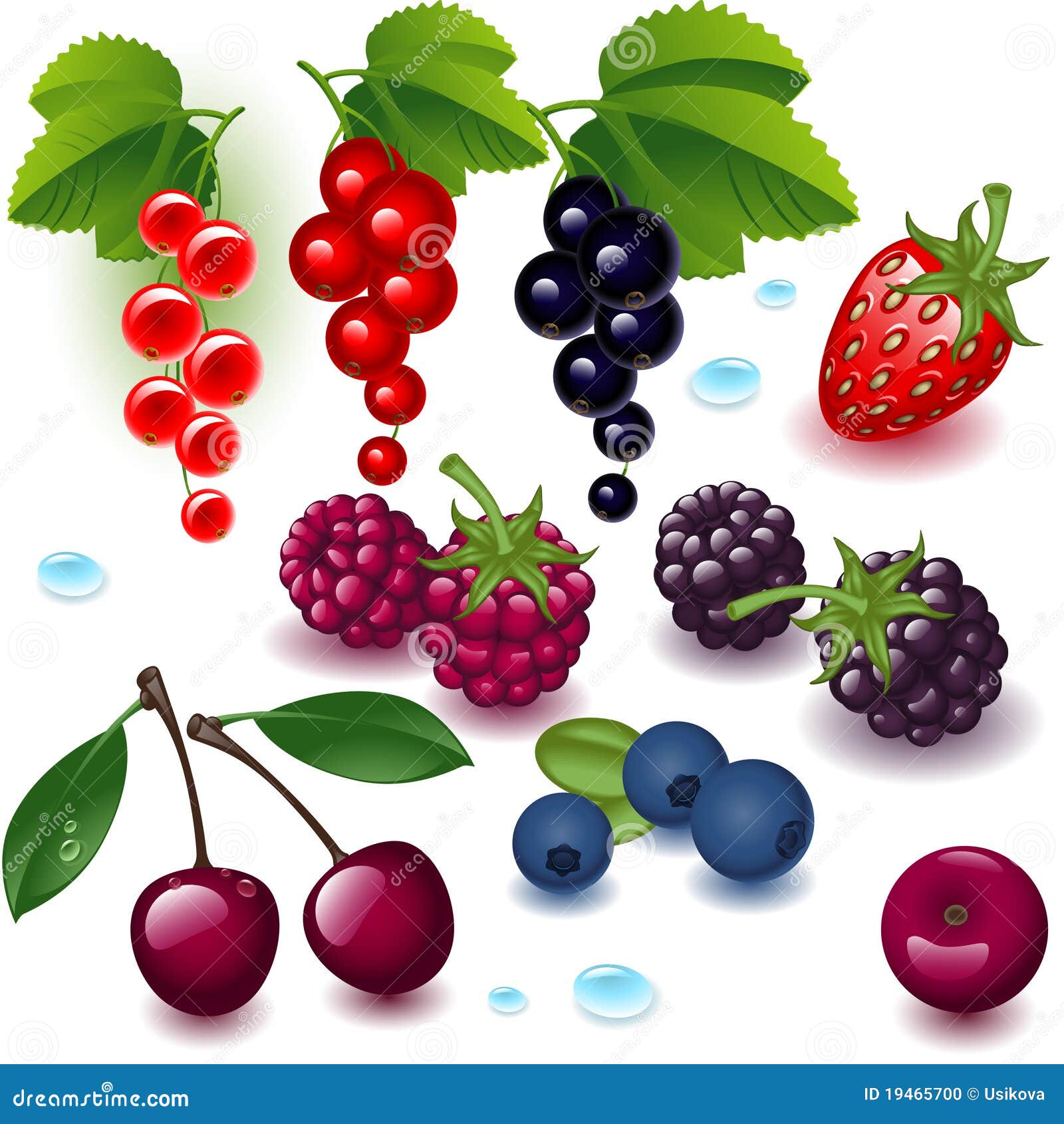 Beere des kompletten Sets vektor abbildung. Illustration von blaubeeren ...