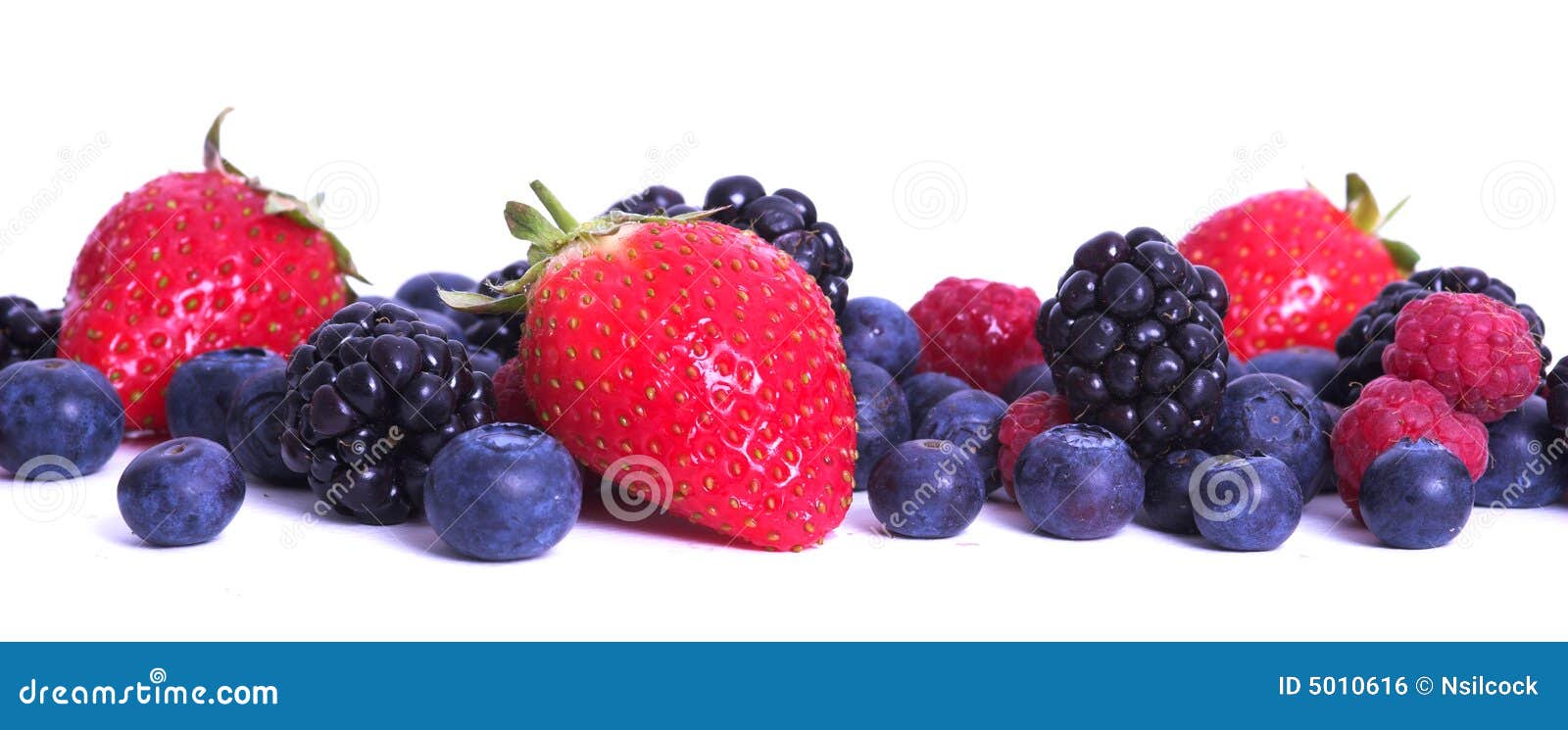 Beeren stockfoto. Bild von brombeeren, himbeeren, beeren - 5010616