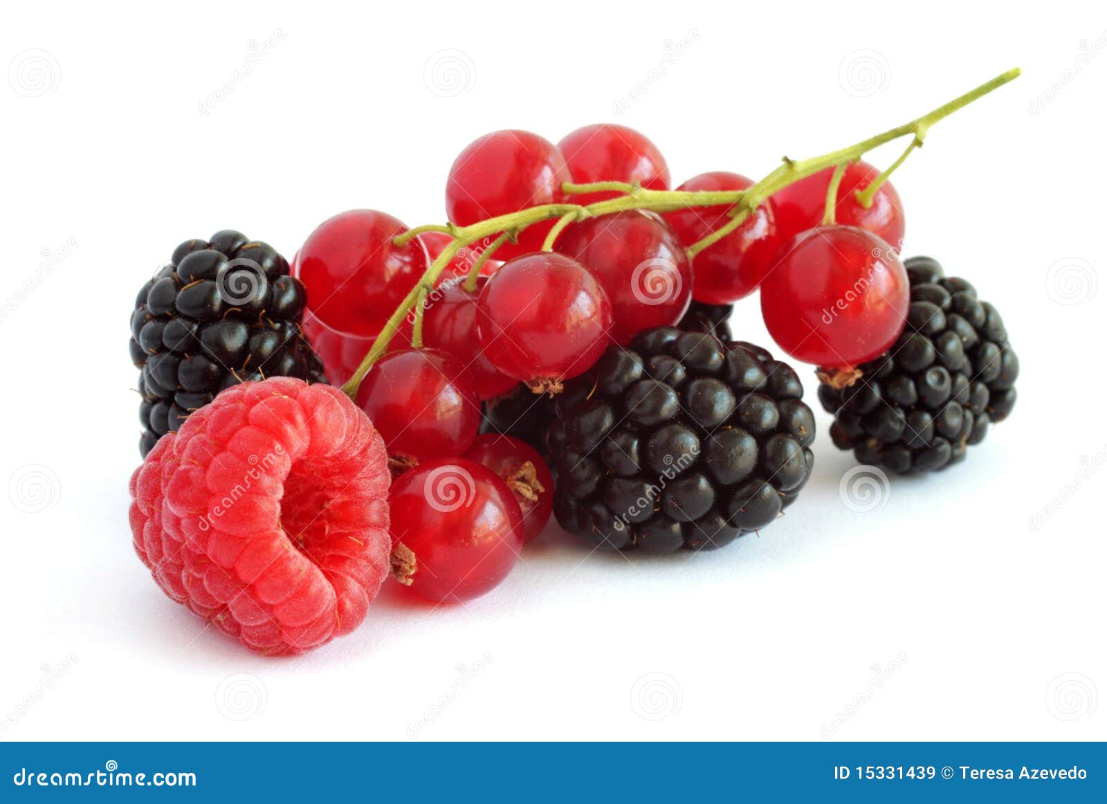 Beeren auf Weiß stockbild. Bild von nahaufnahme, fruchtig - 15331439