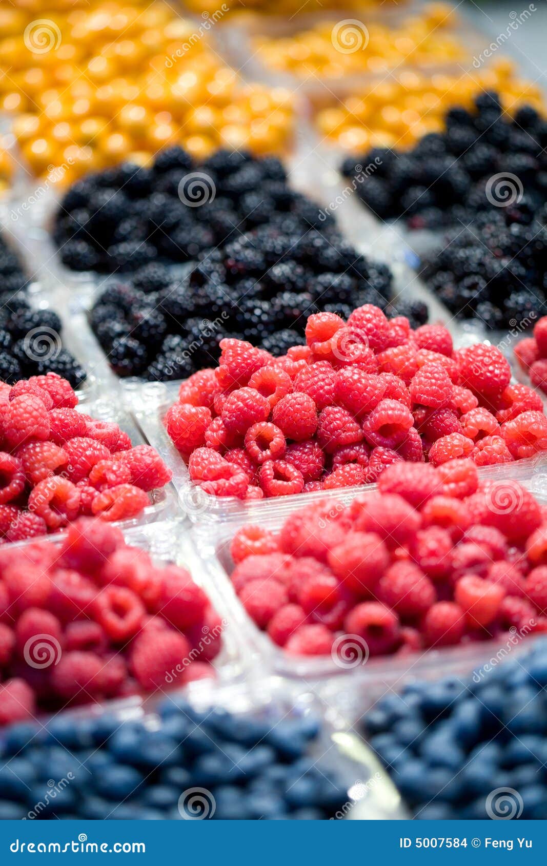 Beerenobst stockfoto. Bild von beere, nähren, himbeere - 5007584