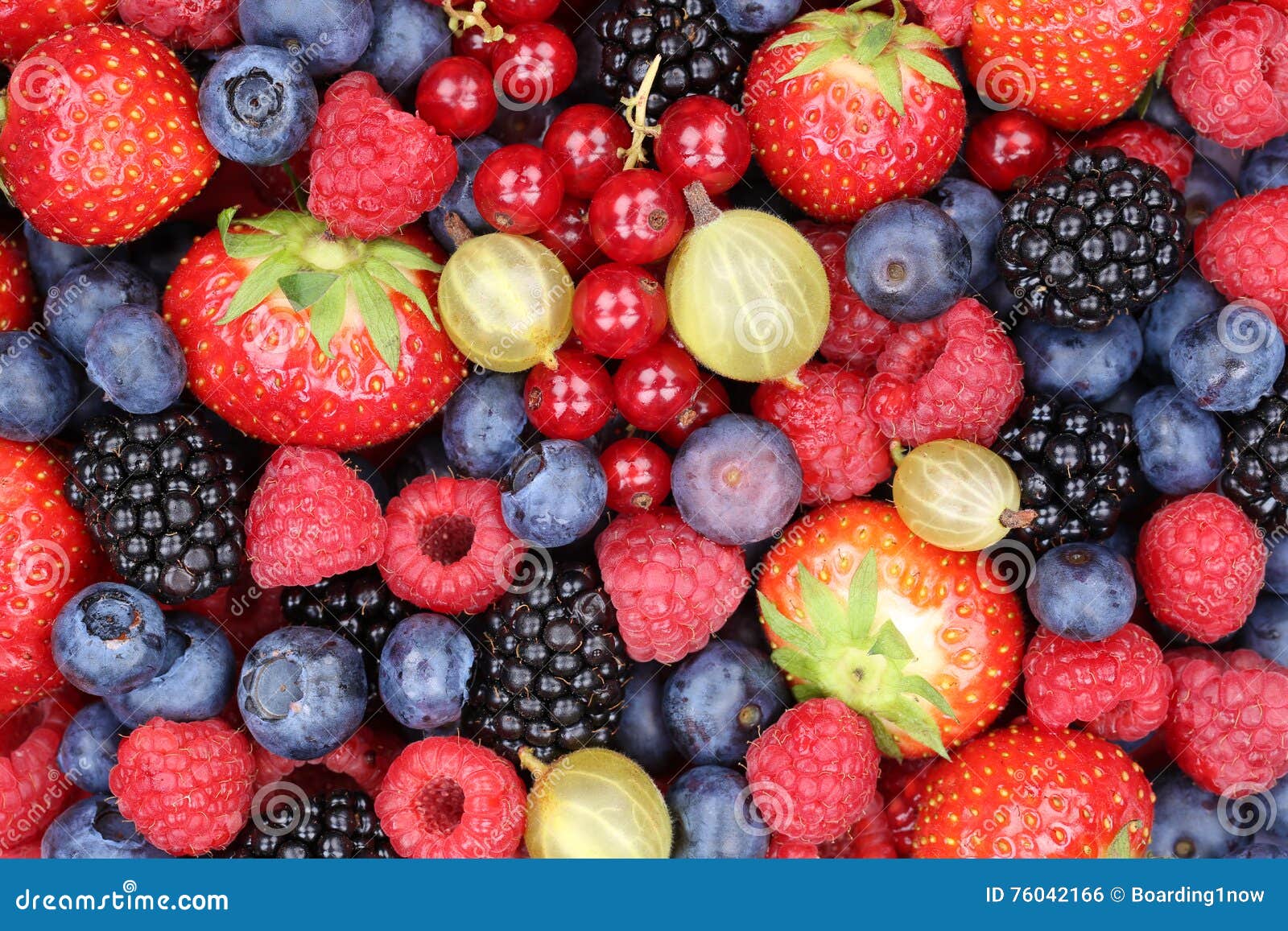 Beerenobst-Beerensammlungserdbeeren, Blaubeeren-raspbe Stockfoto - Bild ...