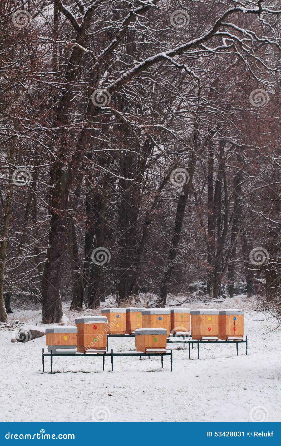 Bees stock image. Image of agility, beehive, beekeeper - 53428031