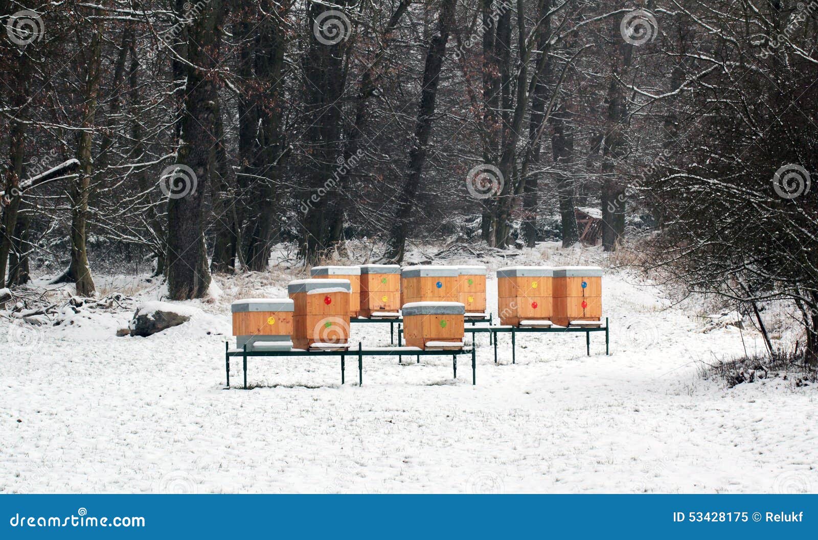 Bees stock image. Image of beehive, apiculture, honey - 53428175