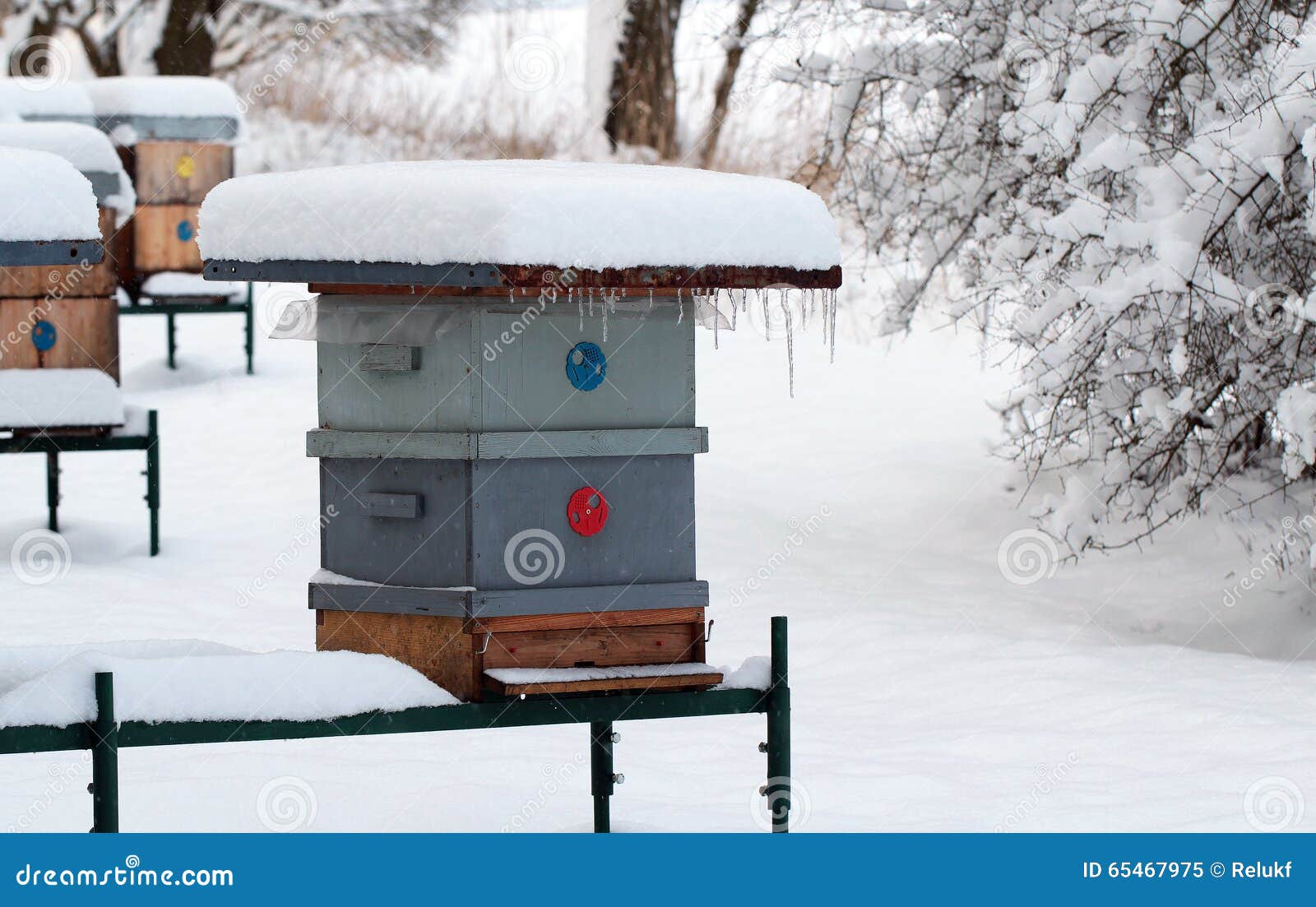 Bees stock image. Image of cells, beekeeper, hexagon - 65467975