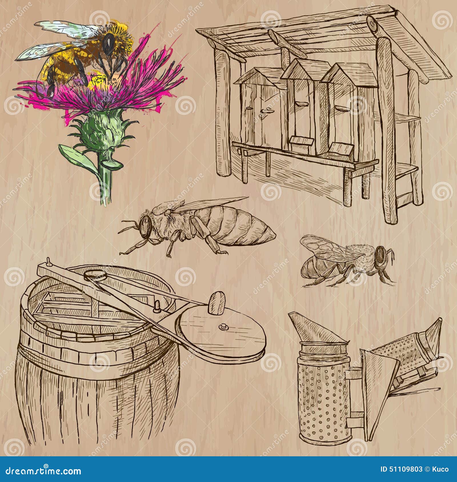Bees, Beekeeping and Honey - Hand Drawn Vector Pack 6 Stock Vector ...