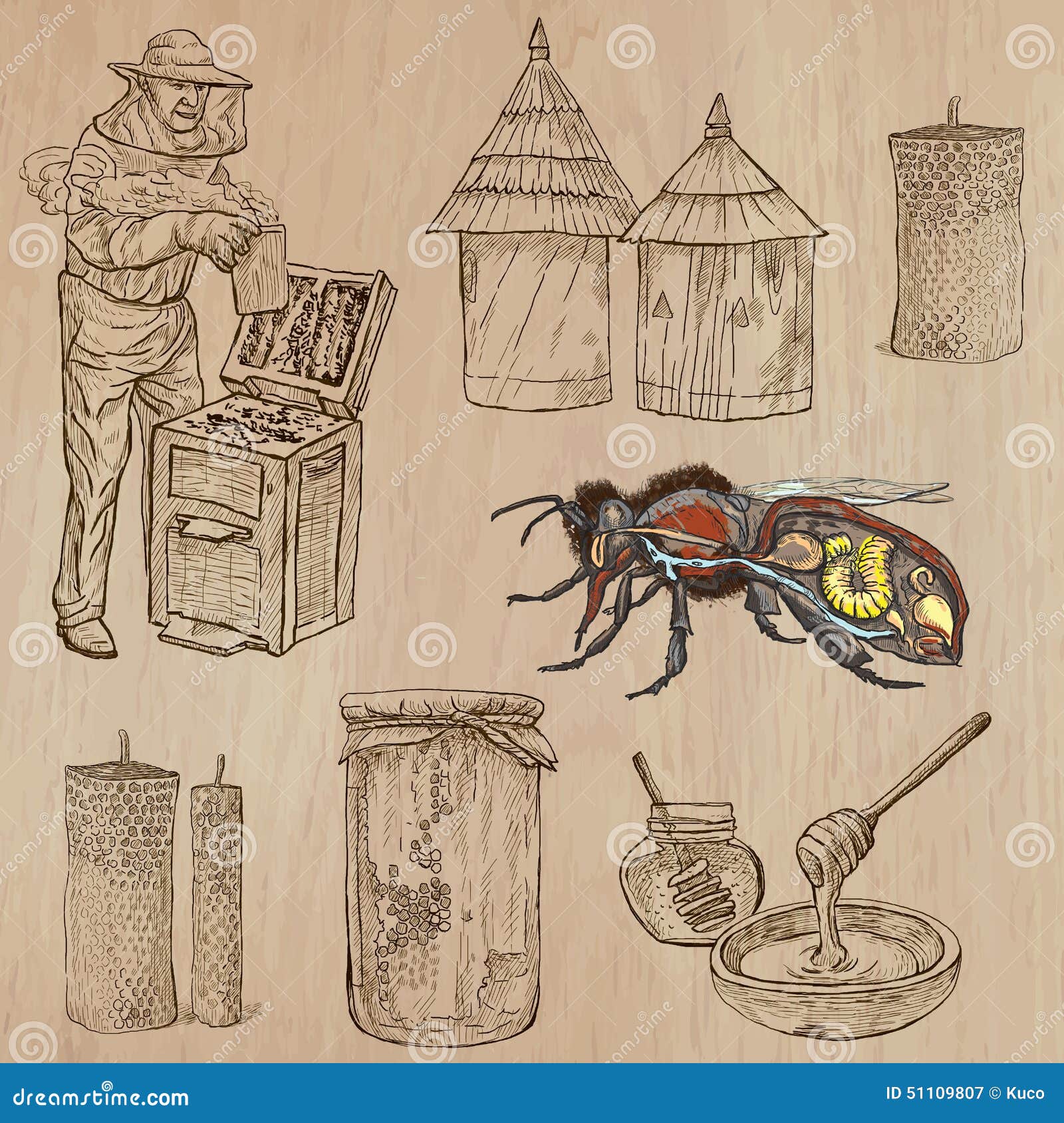 Bees, Beekeeping and Honey - Hand Drawn Vector Pack 8 Stock Vector ...