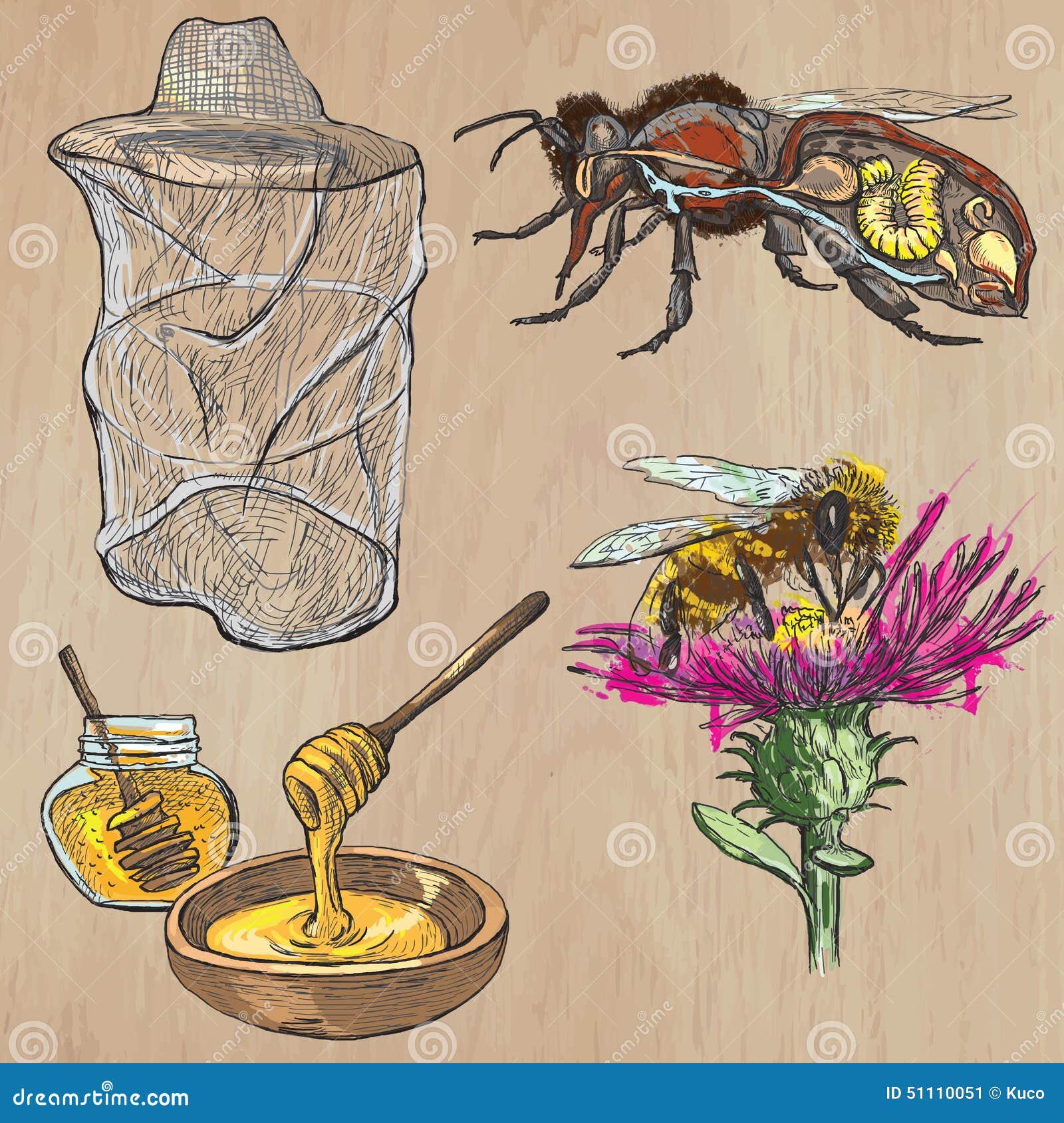 Bees, Beekeeping and Honey - Hand Drawn Vector Pack 1 Stock Vector ...