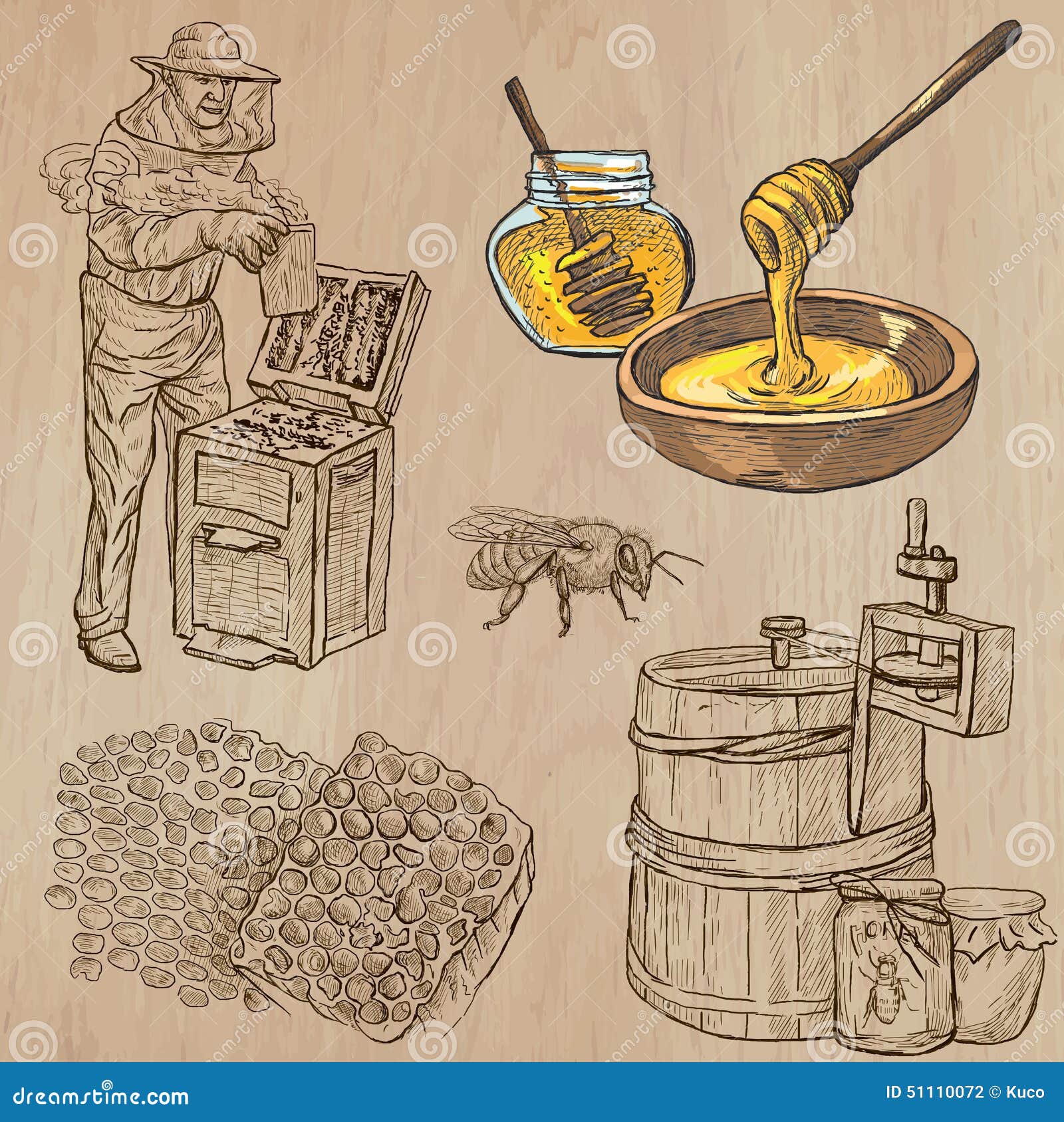 Bees, Beekeeping and Honey - Hand Drawn Vector Pack 5 Stock Vector ...