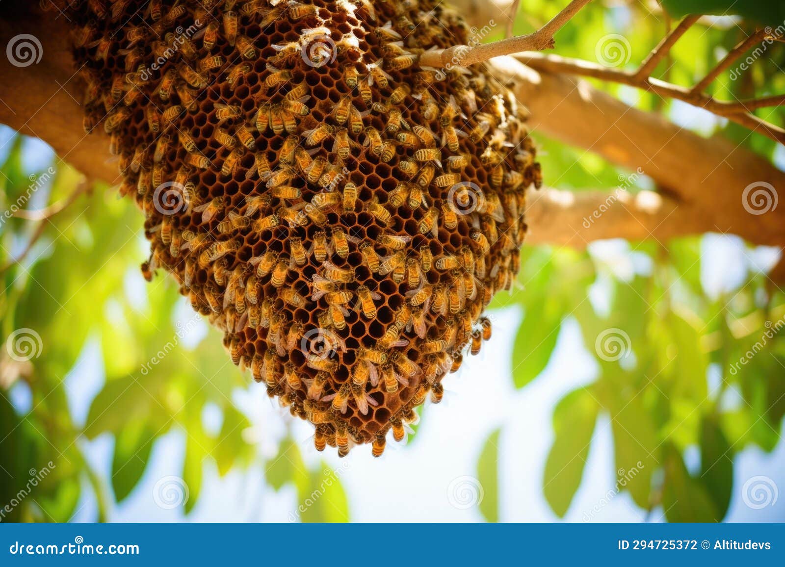 Bees Creating a Honeycomb on a Tree Stock Photo - Image of generated ...