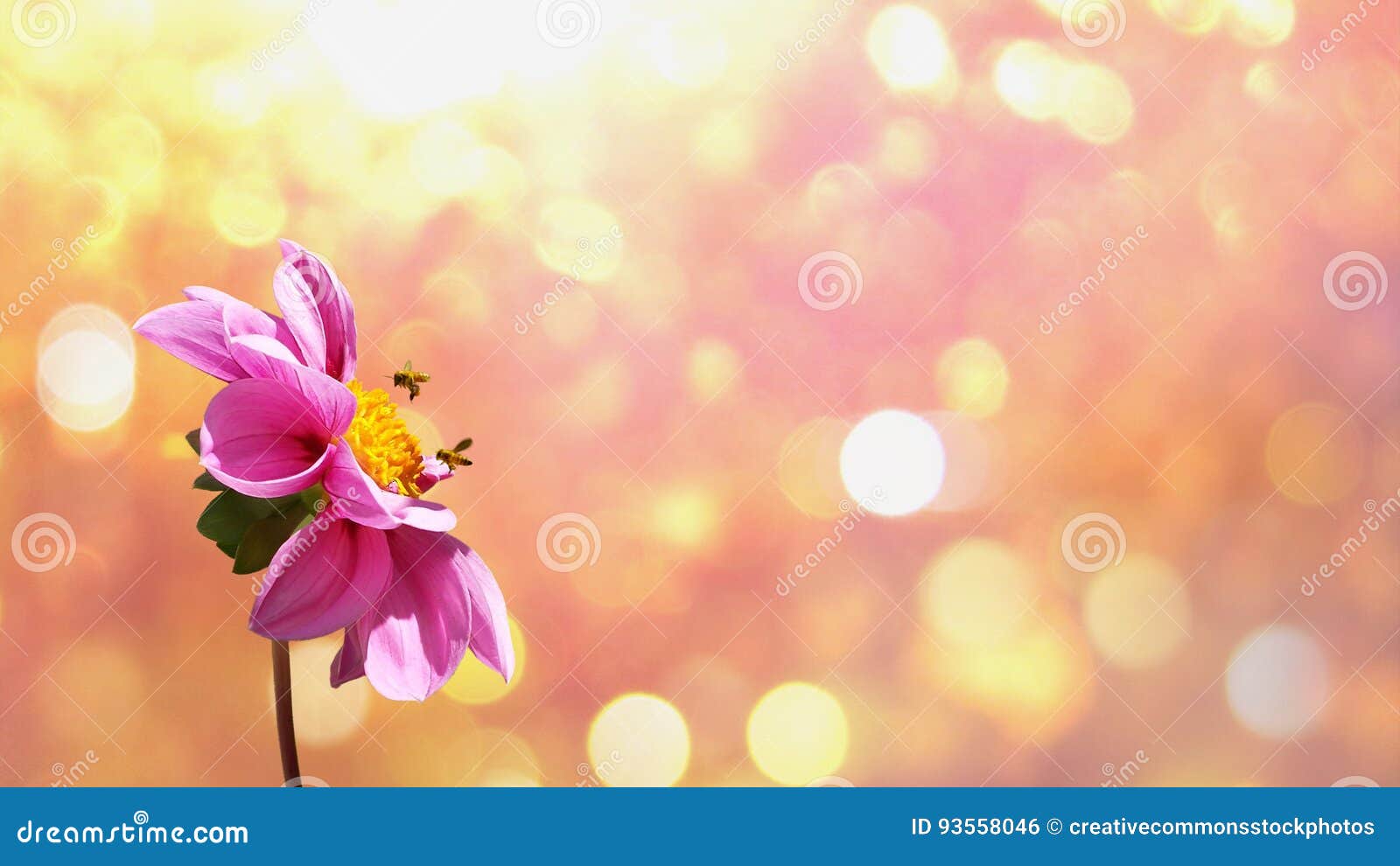 Bees On Flower Picture. Image: 93558046