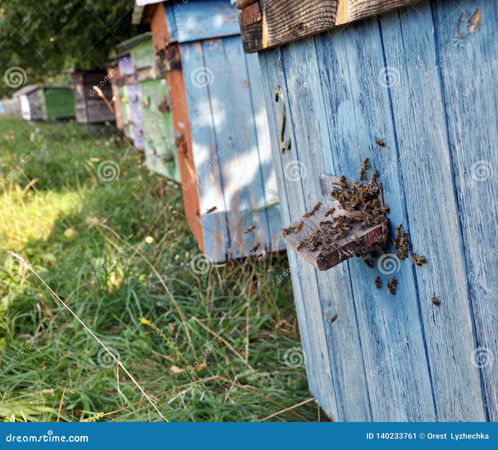 Bees fly to the hive stock image. Image of beekeeping - 140233761